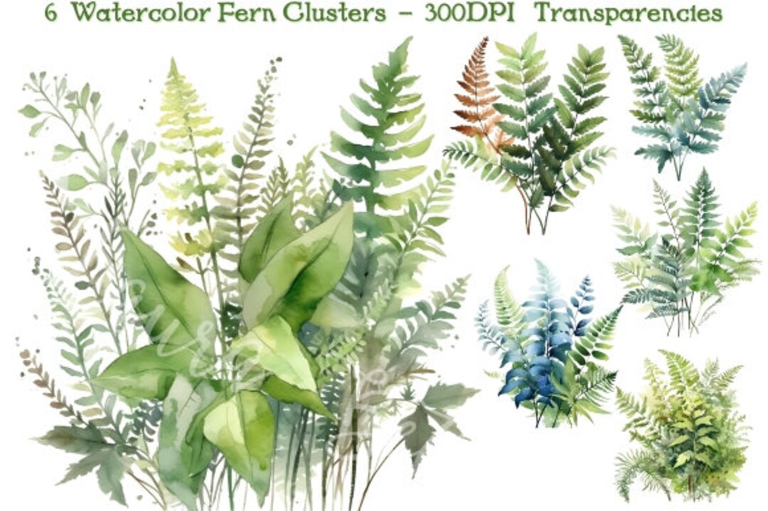 Green Watercolor Ferns Plants - Clip Art - Digital Download - PRINTABLE ...
