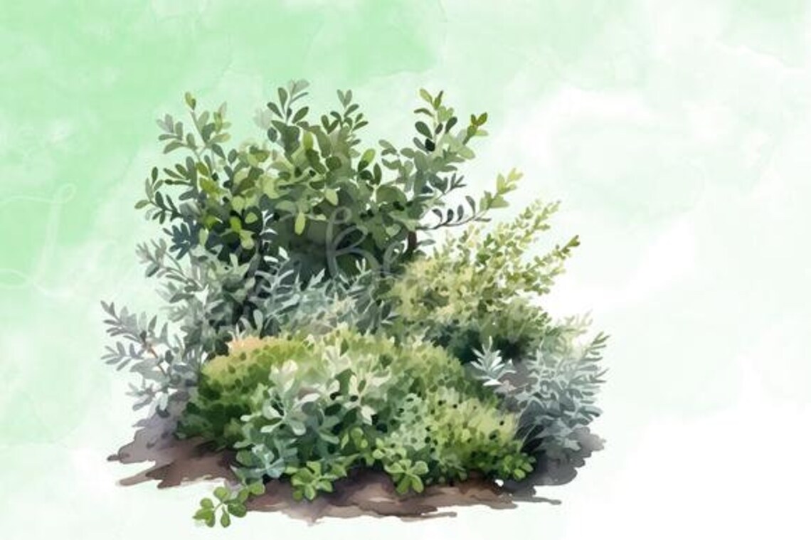 Watercolor Leafy Green Bushes & Branches - Digital Download - PRINTABLE ...