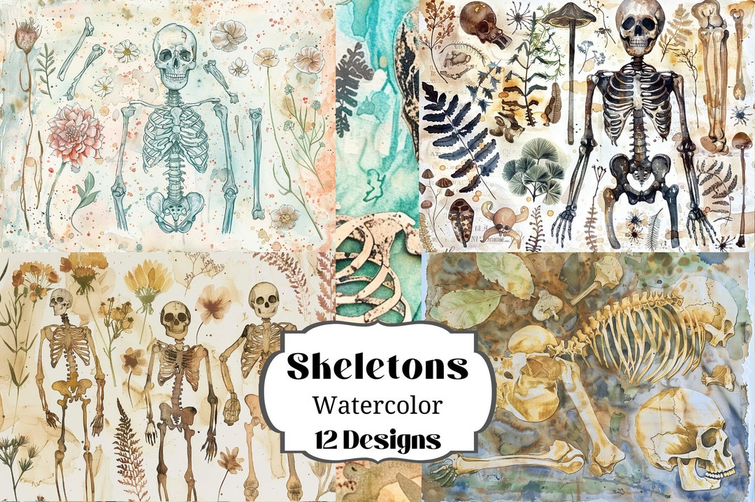 12 Watercolor Skeleton Backgrounds 300 DPI Digital Paper Backgrounds ...
