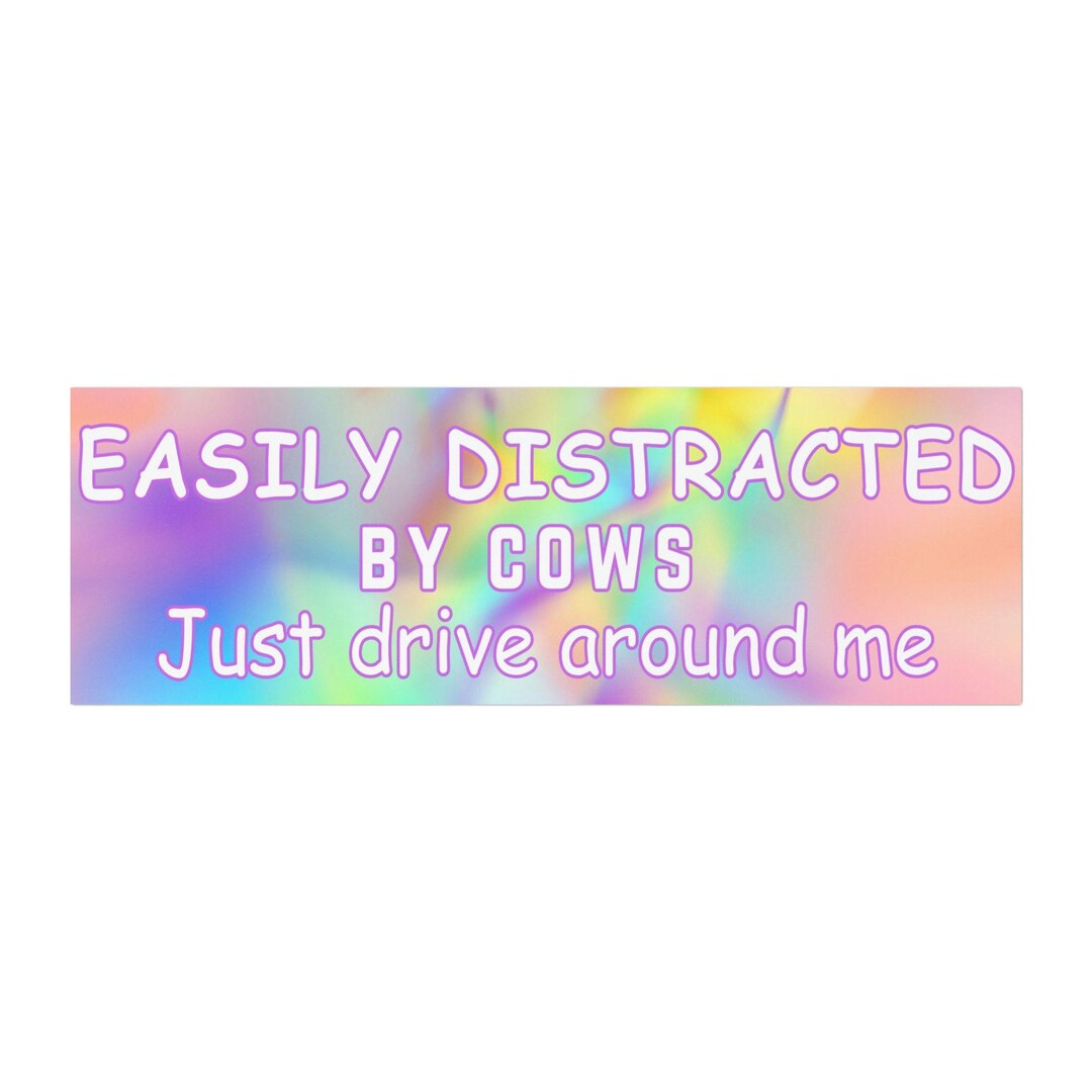 Funny Car Magnets Distracted by Cows Driving Bumper Car Magnet Funny ...