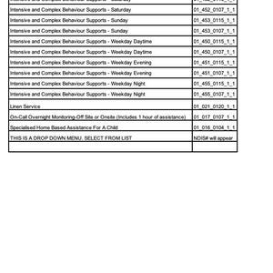 NDIS Invoice Editable Template Containing Drop Down Menu Detailing ...