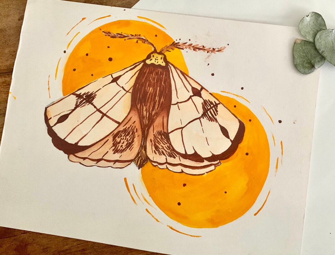 Nightingale Moth Illustration Fina Art Print Home Decor - Etsy