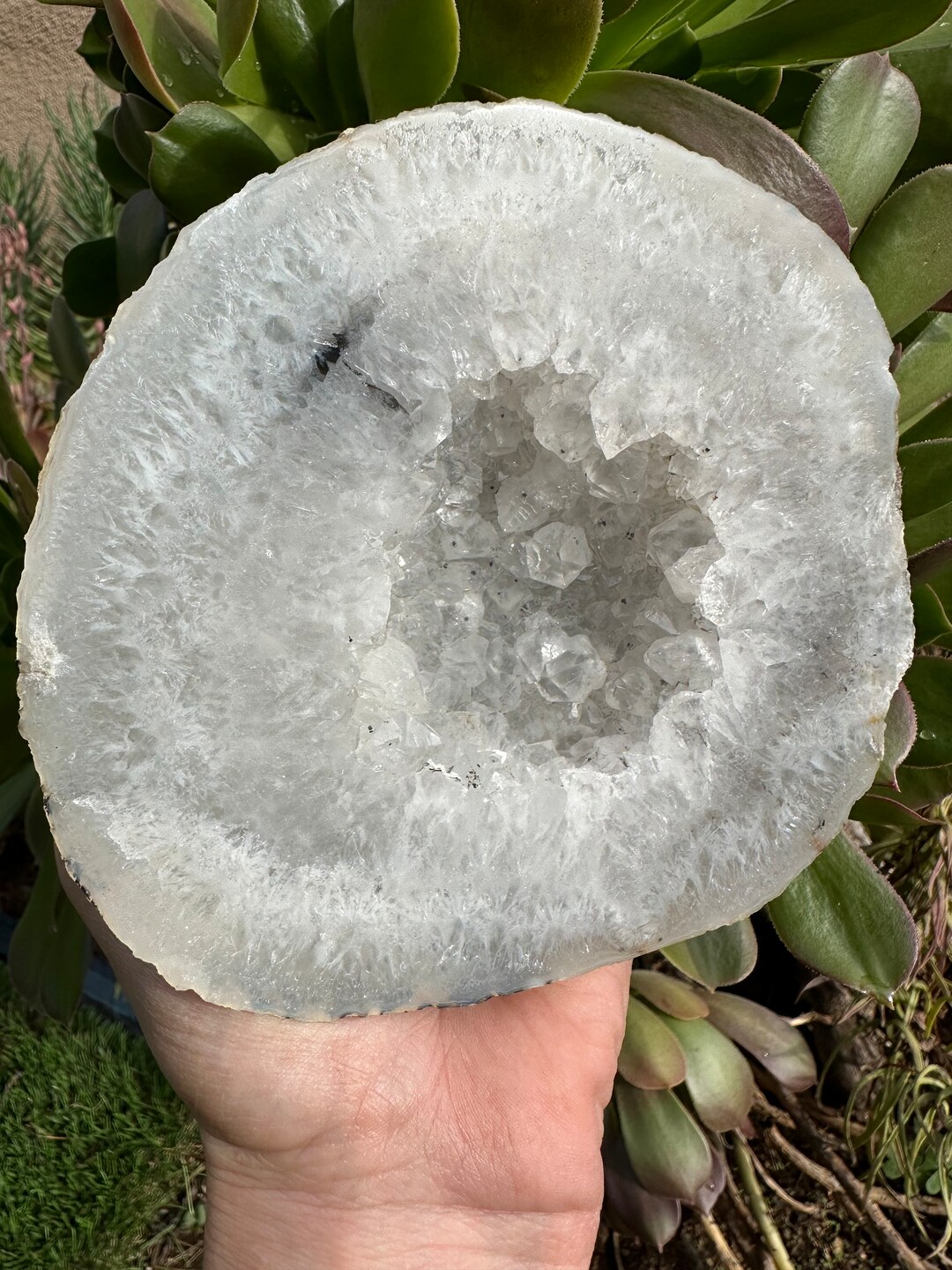 2.3 Lb Agate Geode Geode Quartz Geode Polished Geode Half Crystal Geode ...