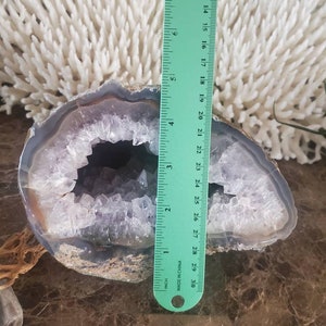 6.9 Lb Agate Geode - Geode - Quartz Geode - Polished Geode Half ...