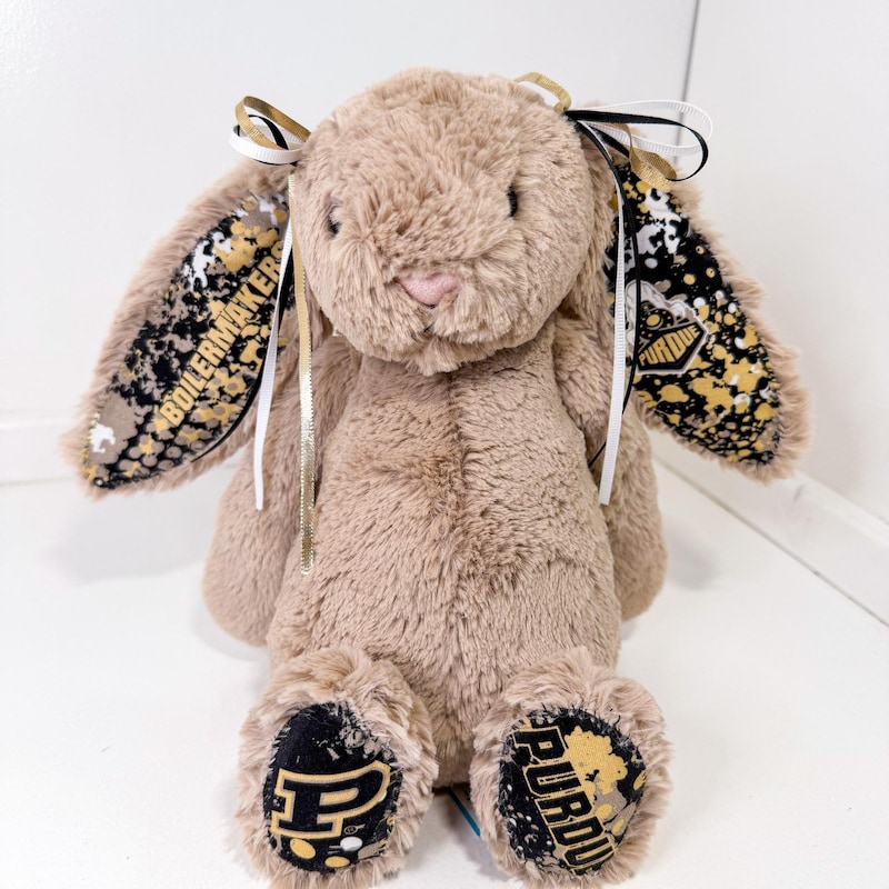 Custom College Jellycat - Etsy