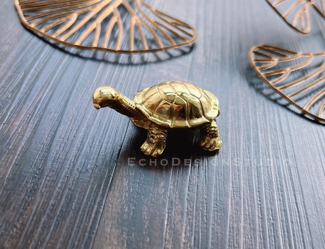 Turtle Brass Cabinet Knob: Modern Gold Dresser Drawer Pull (BS-C-939 ...