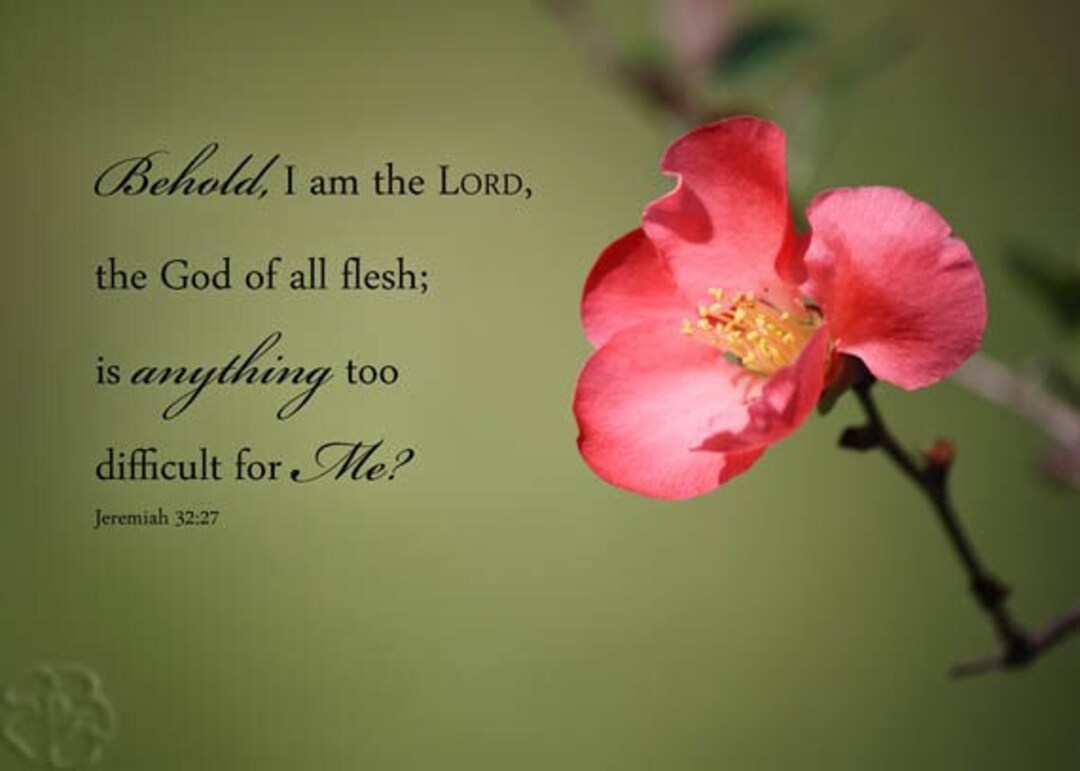 Jeremiah 32:27 Scripture Art – Pink Flower Christian Photograph - Etsy