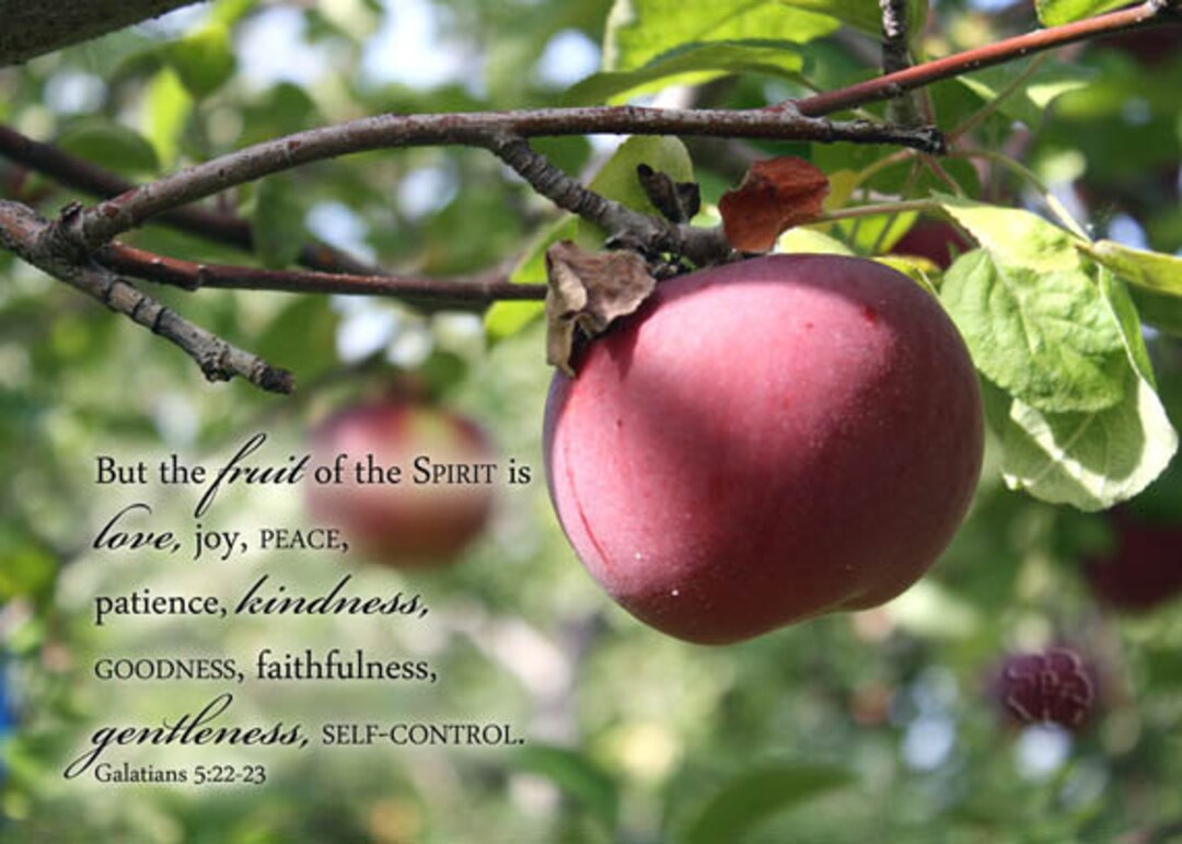 Fruit of the Spirit Wall Art With Apple Photo Galatians 5 22 Christian ...