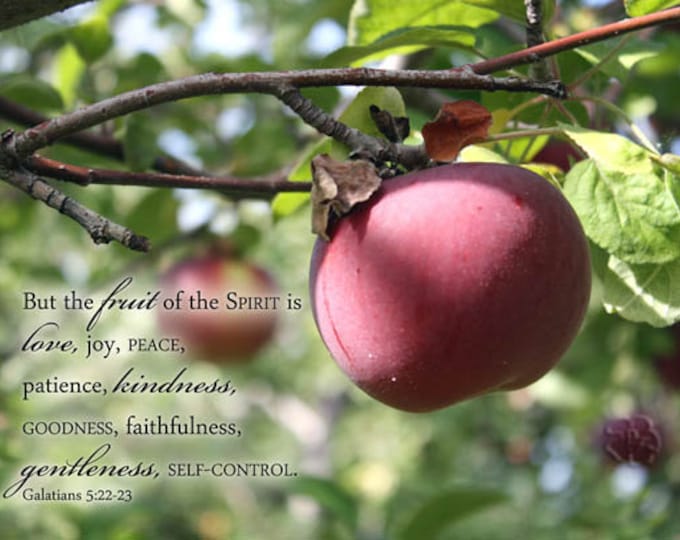 This item is unavailable | Etsy