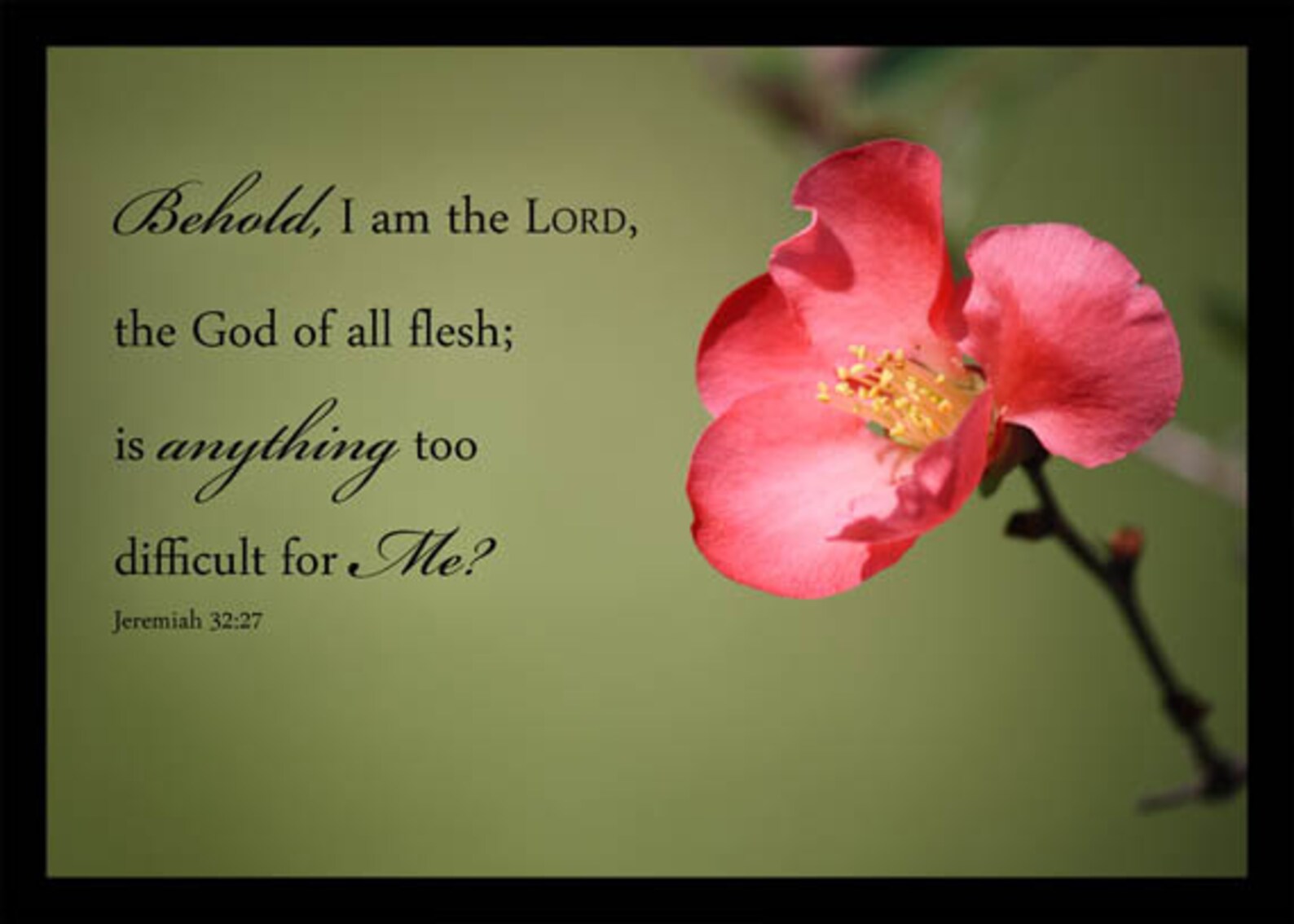 Bible Verse Art Pink Flower Photograph With Jeremiah 32 27 ...