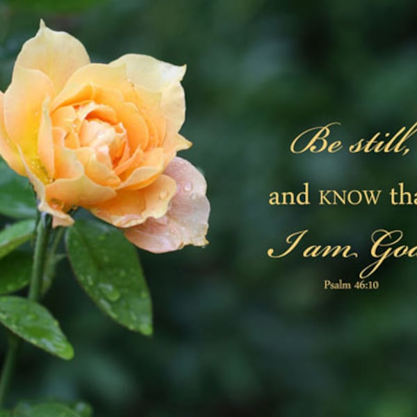 Yellow Rose Bible Verse - Etsy