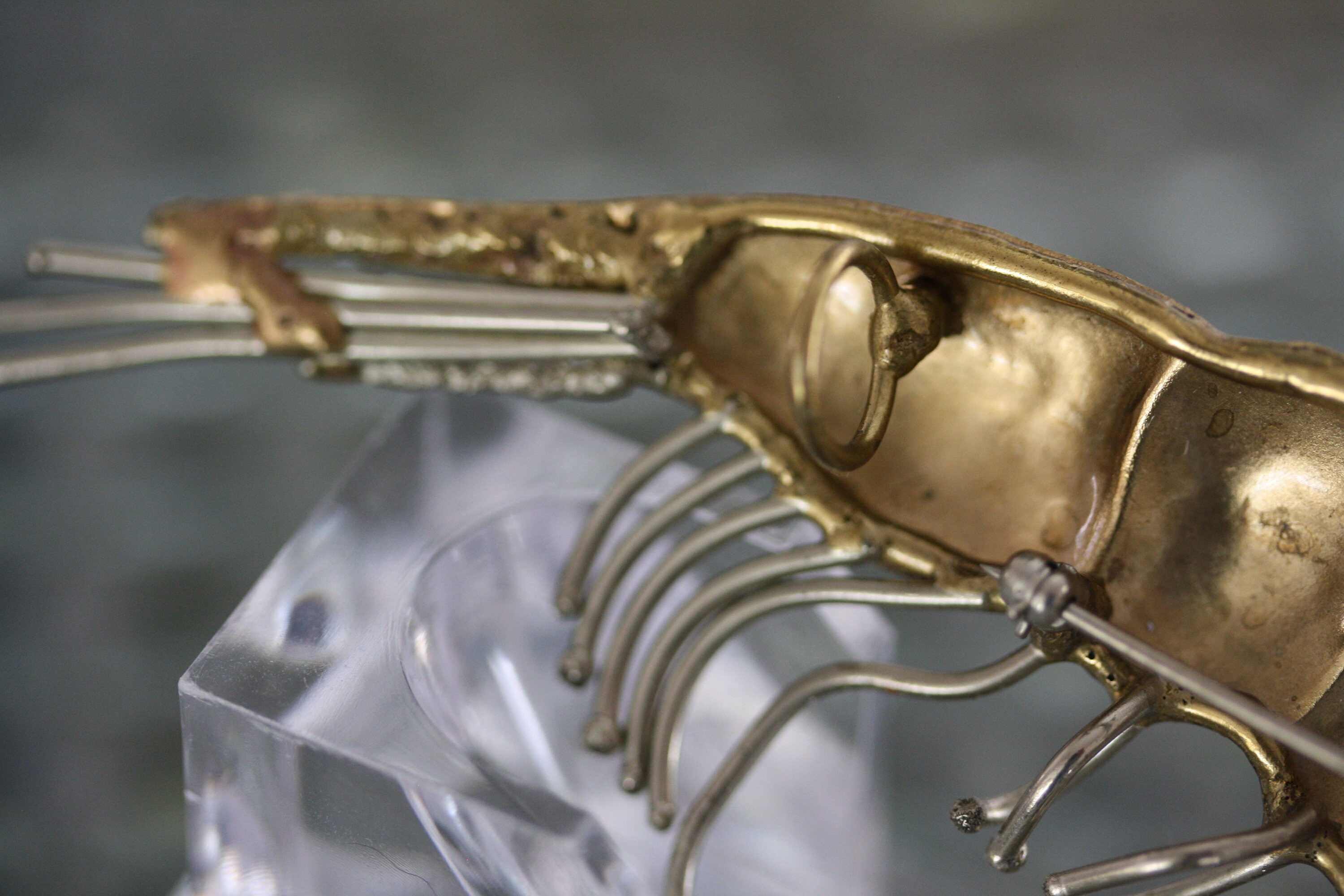 Vintage Brass Shrimp Pin Brooch Pendant Art Nouveau Crawfish - Etsy