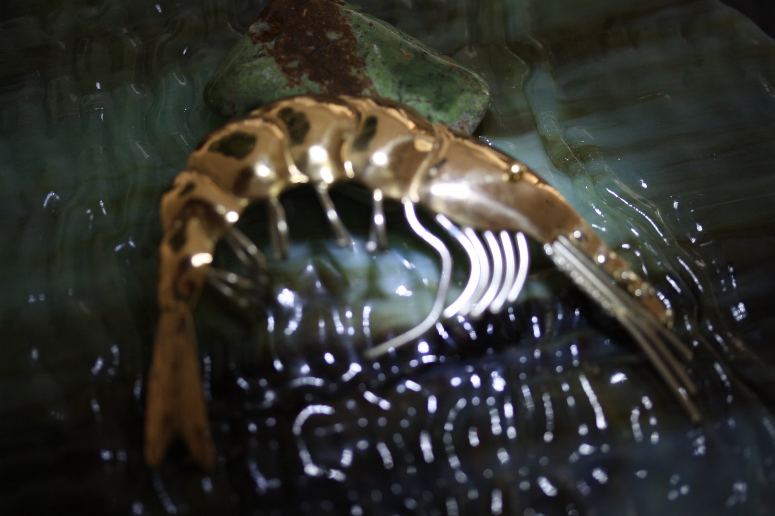 Vintage Brass Shrimp Pin Brooch Pendant Art Nouveau Crawfish - Etsy