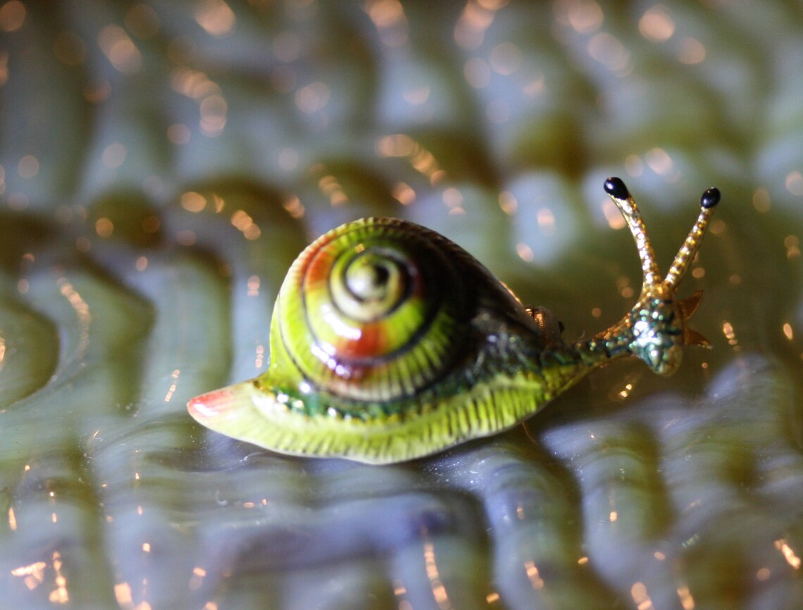 Vintage Little Enamel Snail Pin - Etsy