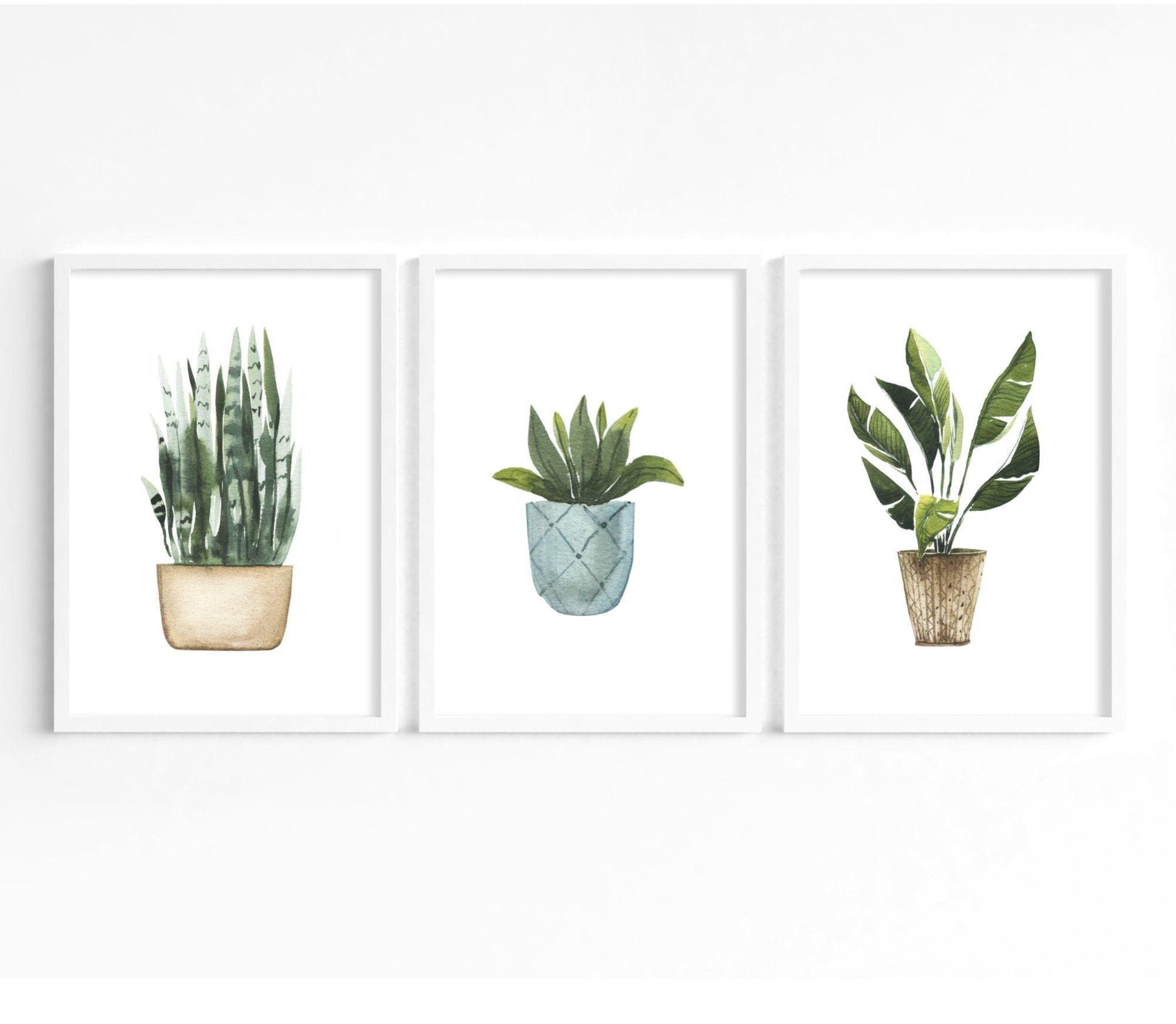 Set of 3 Botanical Plant Prints Leaf Prints Potted Plant | Etsy