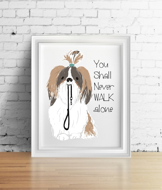 Shih Tzu Art Print Shih Tzu Wall Art Shih Tzu Dog Gift Shih | Etsy