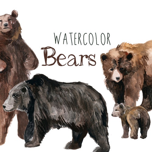 Watercolor Forest Animals Portraits Elements Clipart Woodland - Etsy