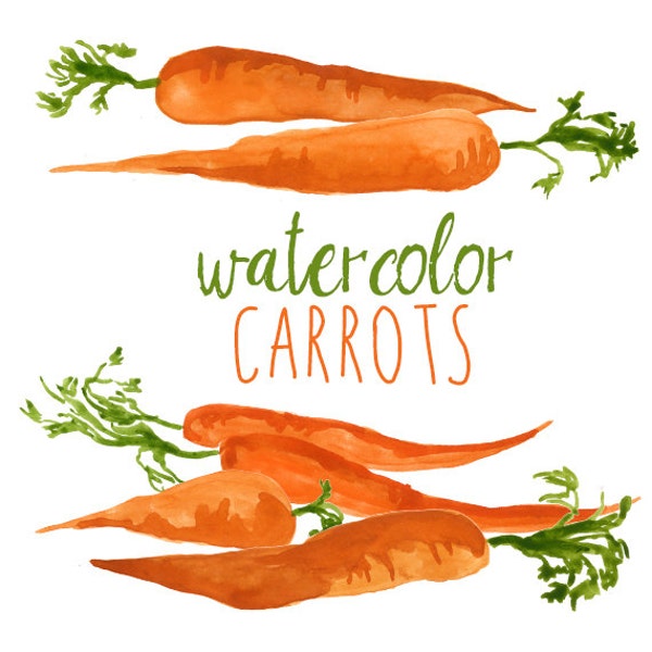 Watercolor Carrots - Etsy