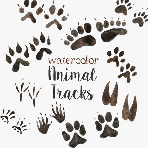 ANIMAL TRACKS-FOOTPRINTS Clipart-vector Clip Art - Etsy