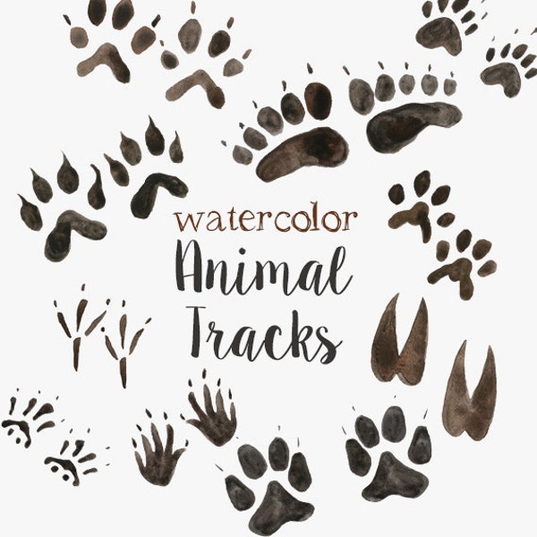 Animal Track Art - Etsy