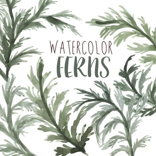 Fern Clip Art - Etsy