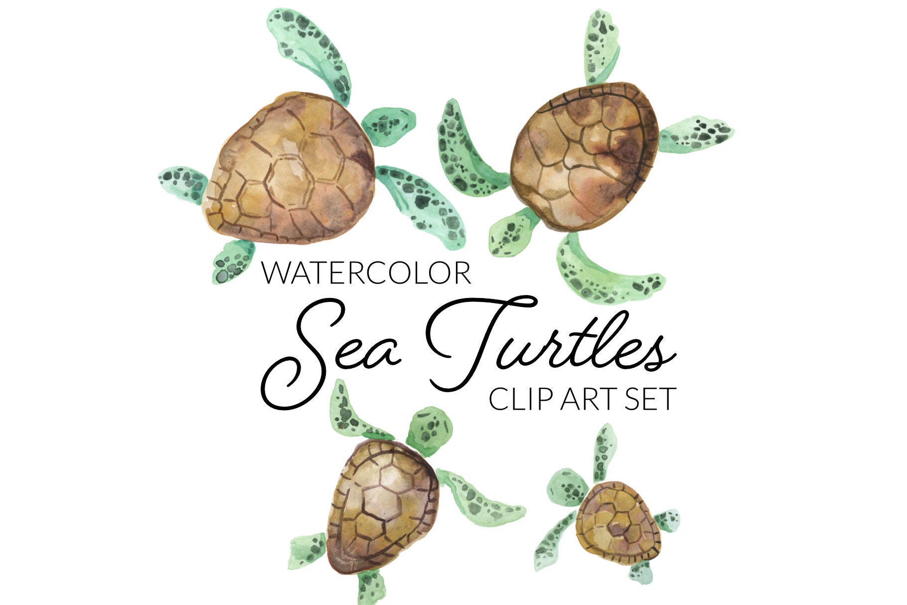 Free Sea Turtle Clipart