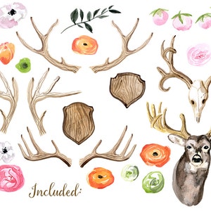 Watercolor Antlers Deer Antler Clipart Deers Clip Art - Etsy