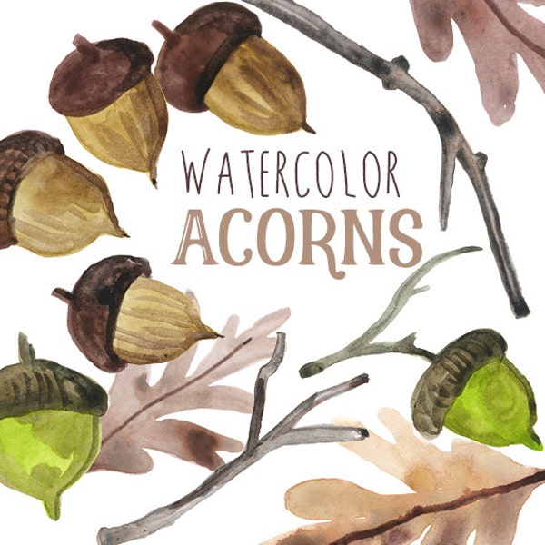Acorn Clip Art - Etsy