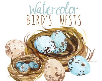 Bird Nest Clip Art - Etsy