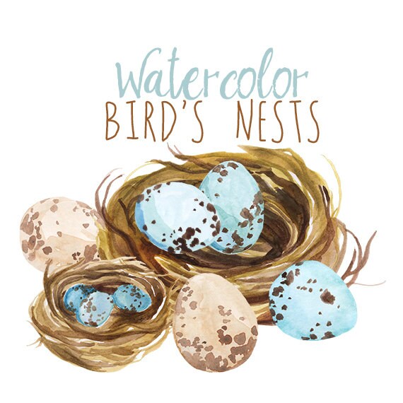 Watercolor Spring Clipart Bird's Nest Easter Clip Art | Etsy