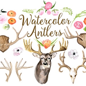 Watercolor Antlers Deer Antler Clipart Deers Clip Art - Etsy