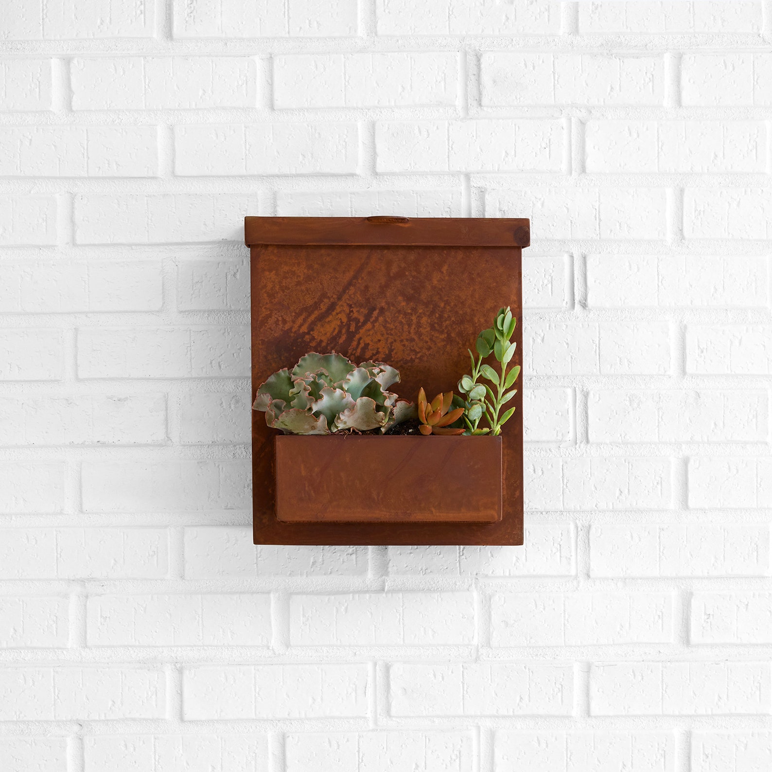 Plant & Post It Mailbox Modern Letter Box Steel Available - Etsy