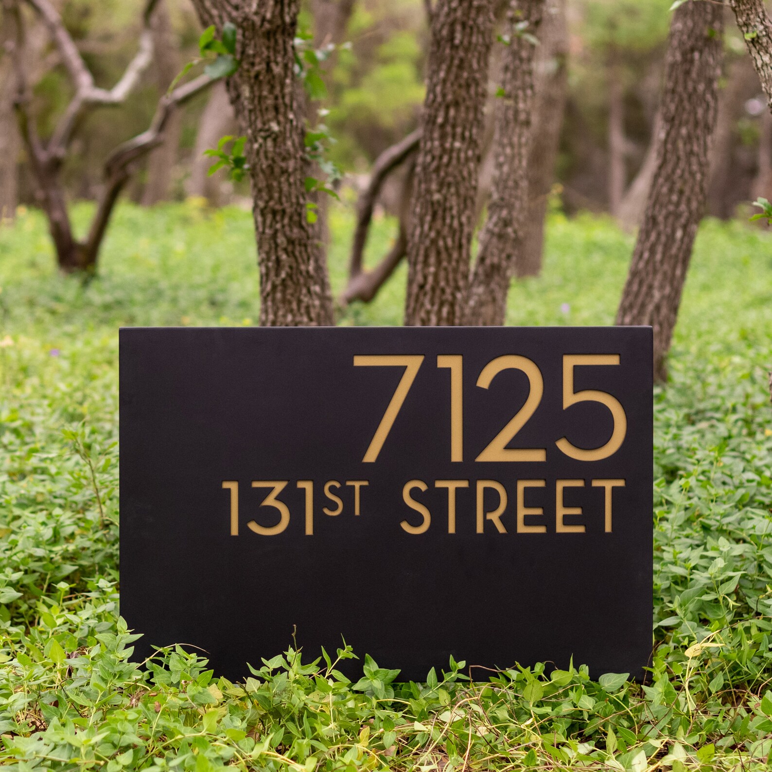 20h X 30w Hyde Park Yard Sign Large Sign on - Etsy Canada