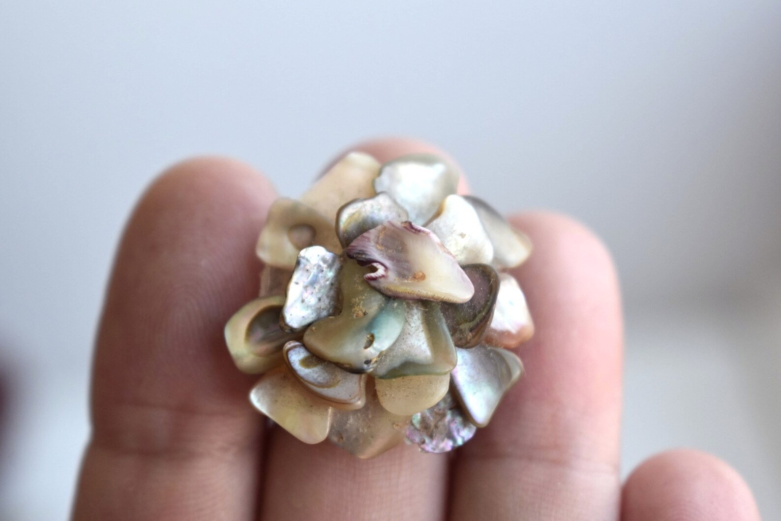 Nacre Mother of Pearl Flower Shaped Raw Seashell Shell - Etsy