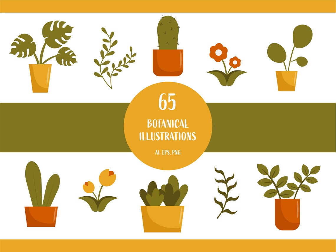 Botanical Vector Illustrations Set, Cute Plants Clipart for Commercial ...