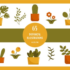 Botanical Vector Illustrations Set, Cute Plants Clipart for Commercial ...