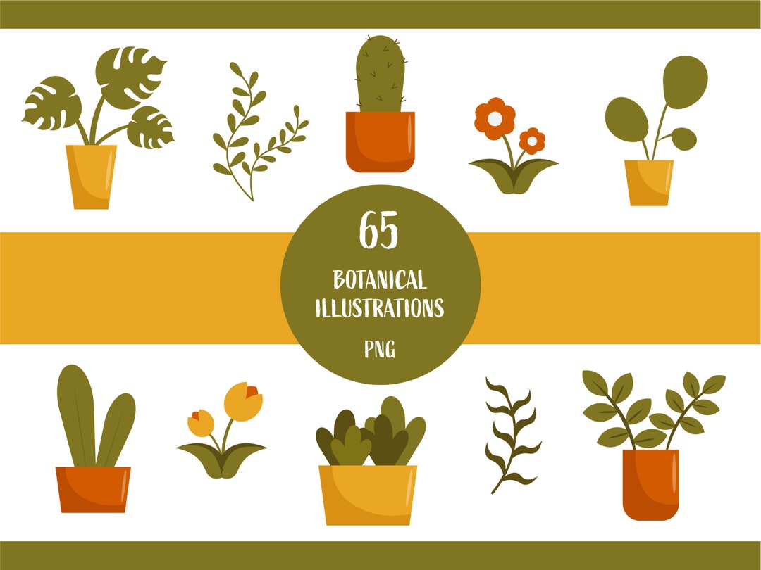 Botanical Clipart Set PNG Commercial Use Plants - Etsy