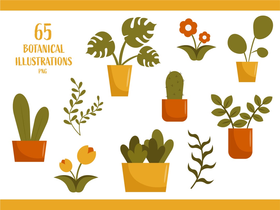 Botanical Clipart Set PNG, Commercial Use Plants Illustrations, Cute ...