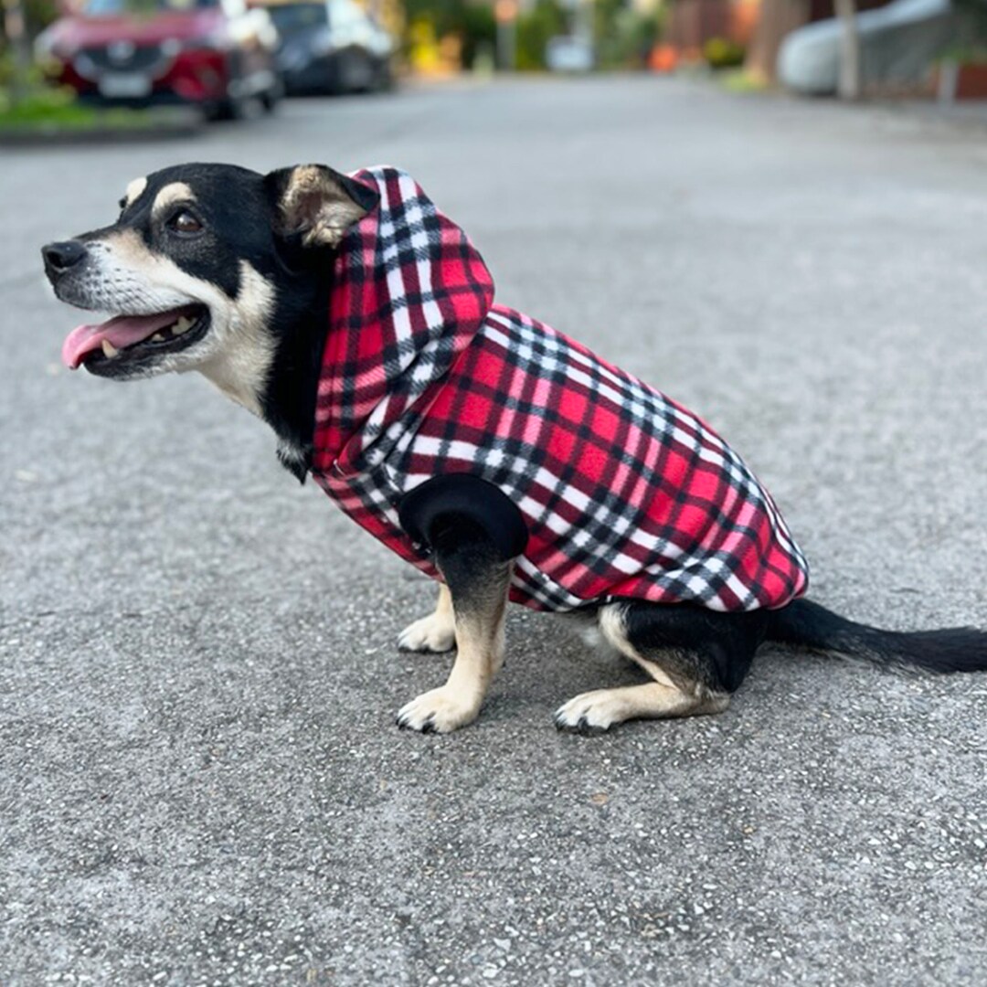 Shortbread Dog Hoodie / Black Dog Jacket / Dog Coat - Etsy