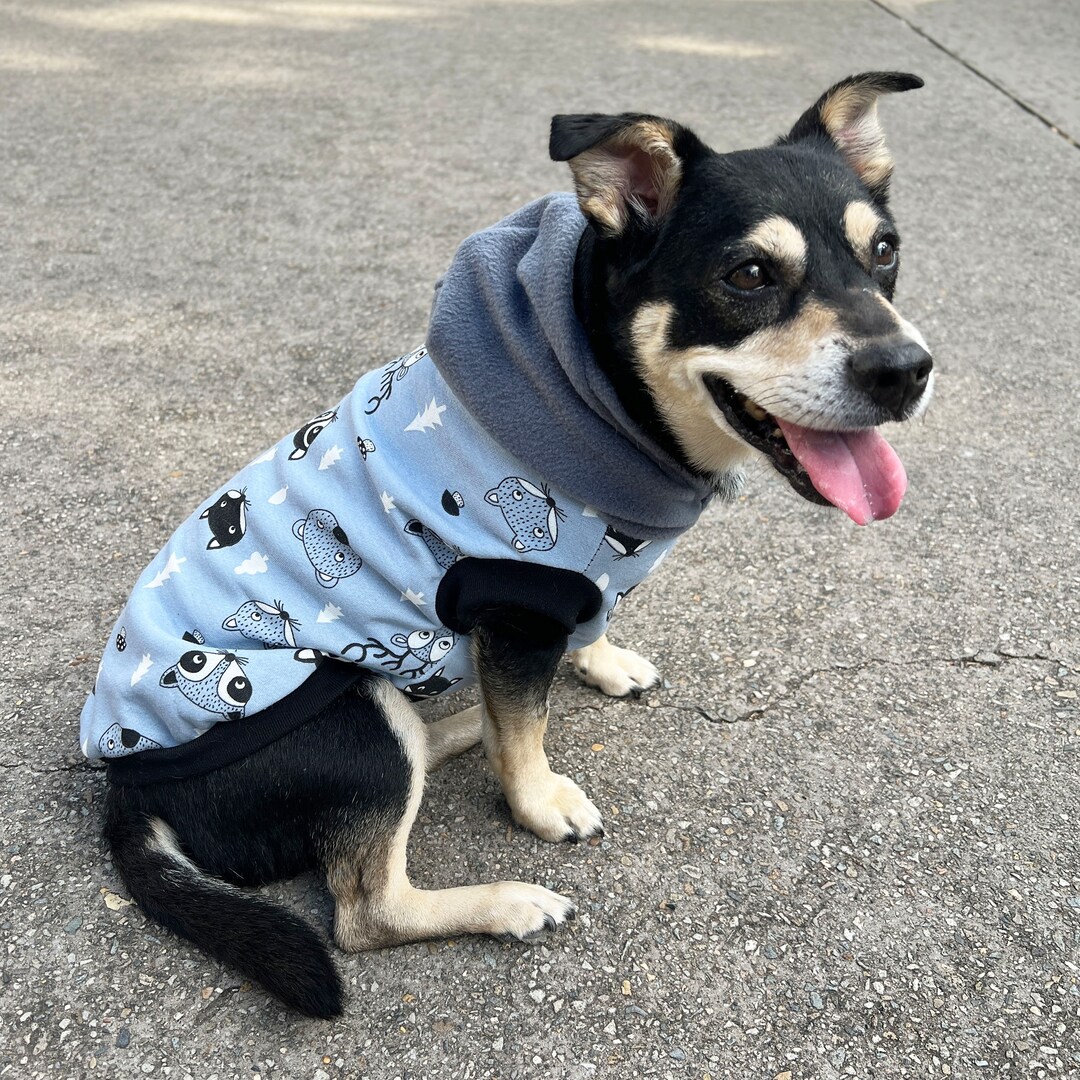 Forest Friends Dog Hoodie / Pale Blue Dog Hoodie / Hoodies for Dogs - Etsy