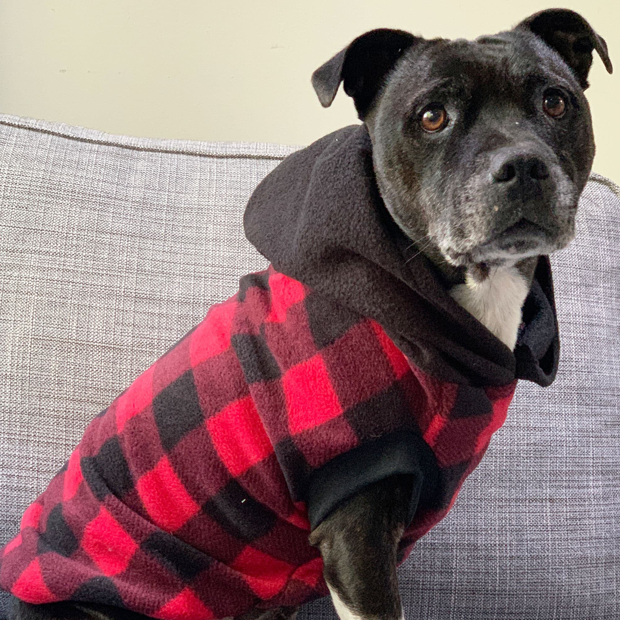 The Lumberjack Dog Hoodie / Fleece Dog Hoodie / Hoodies for Dogs - Etsy ...