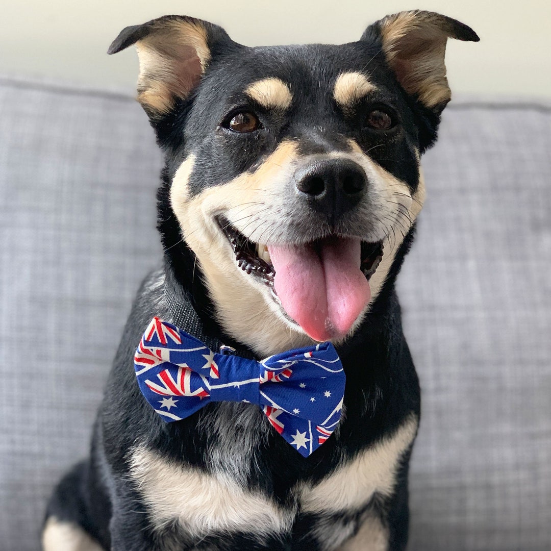 Aussie Flag Dog Bow Tie / Australian Flag Dog Bowtie - Etsy