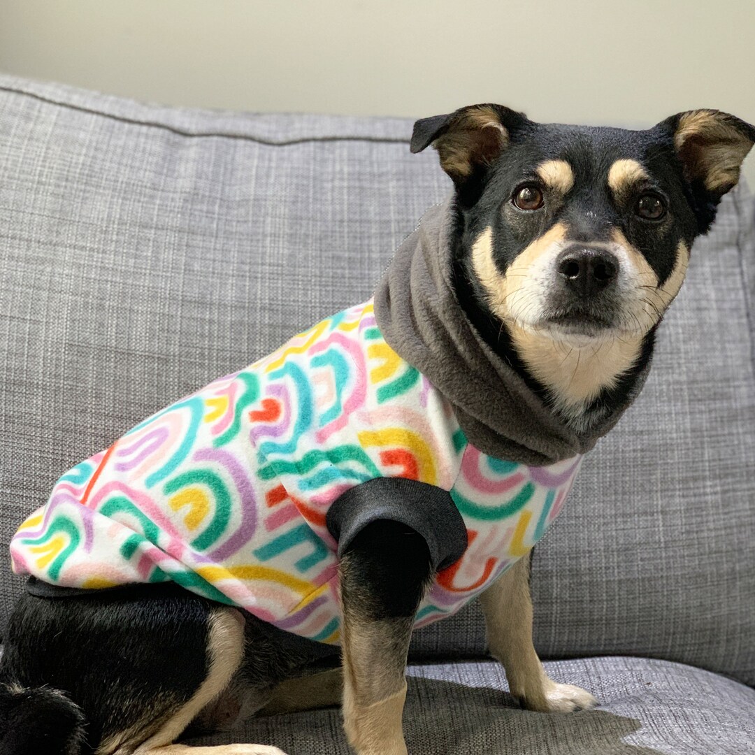 Happy Chappy Dog Hoodie / Hoodies for Dogs / Rainbow Dog Hoodie - Etsy
