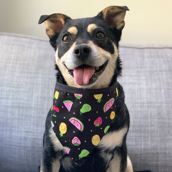 Summer dog bandanas store