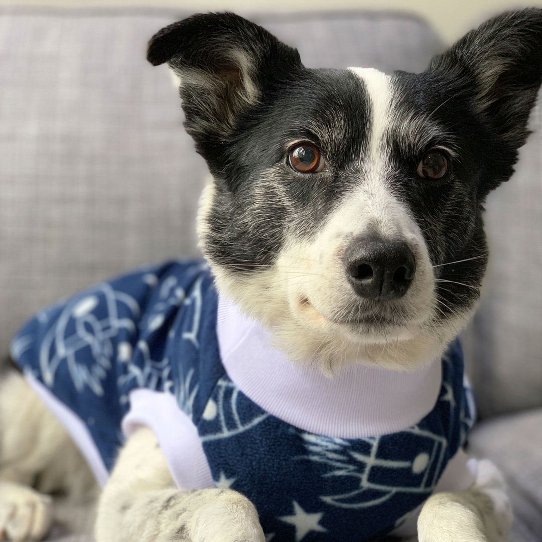 Rocket Dog Turtleneck / Rocket Ship Dog Turtleneck / Dog Jacket - Etsy