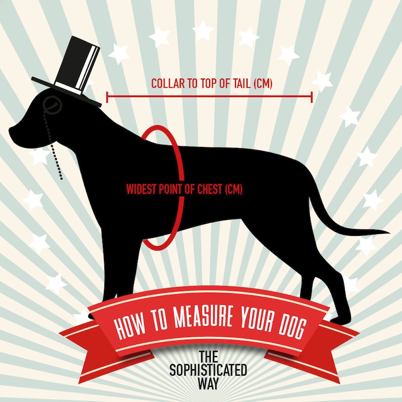 Patchwork Dog Jacket / Fleece Dog Coat / Dog Turtleneck / Red Dog ...