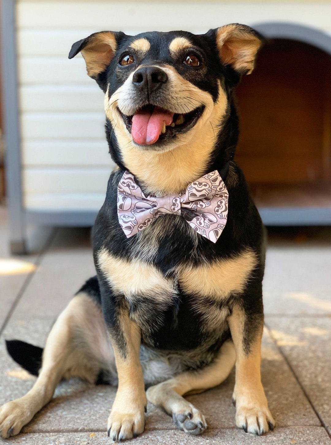 Stormtrooper Dog Bowtie / Star Wars Dog Bow Tie / Bow Ties for - Etsy