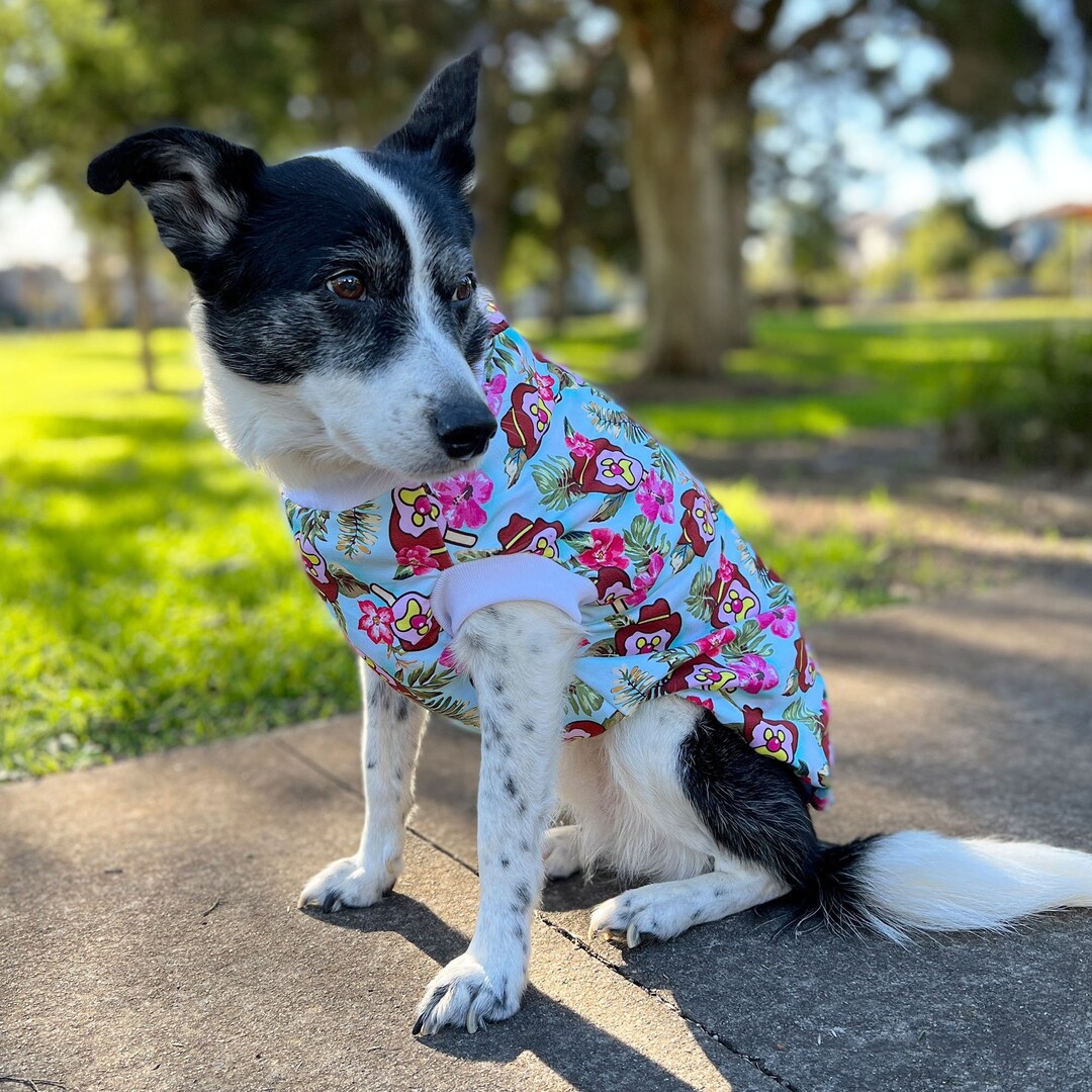 Bubble O Bill Dog Turtleneck / Turtlenecks para perros / Chaquetas para ...
