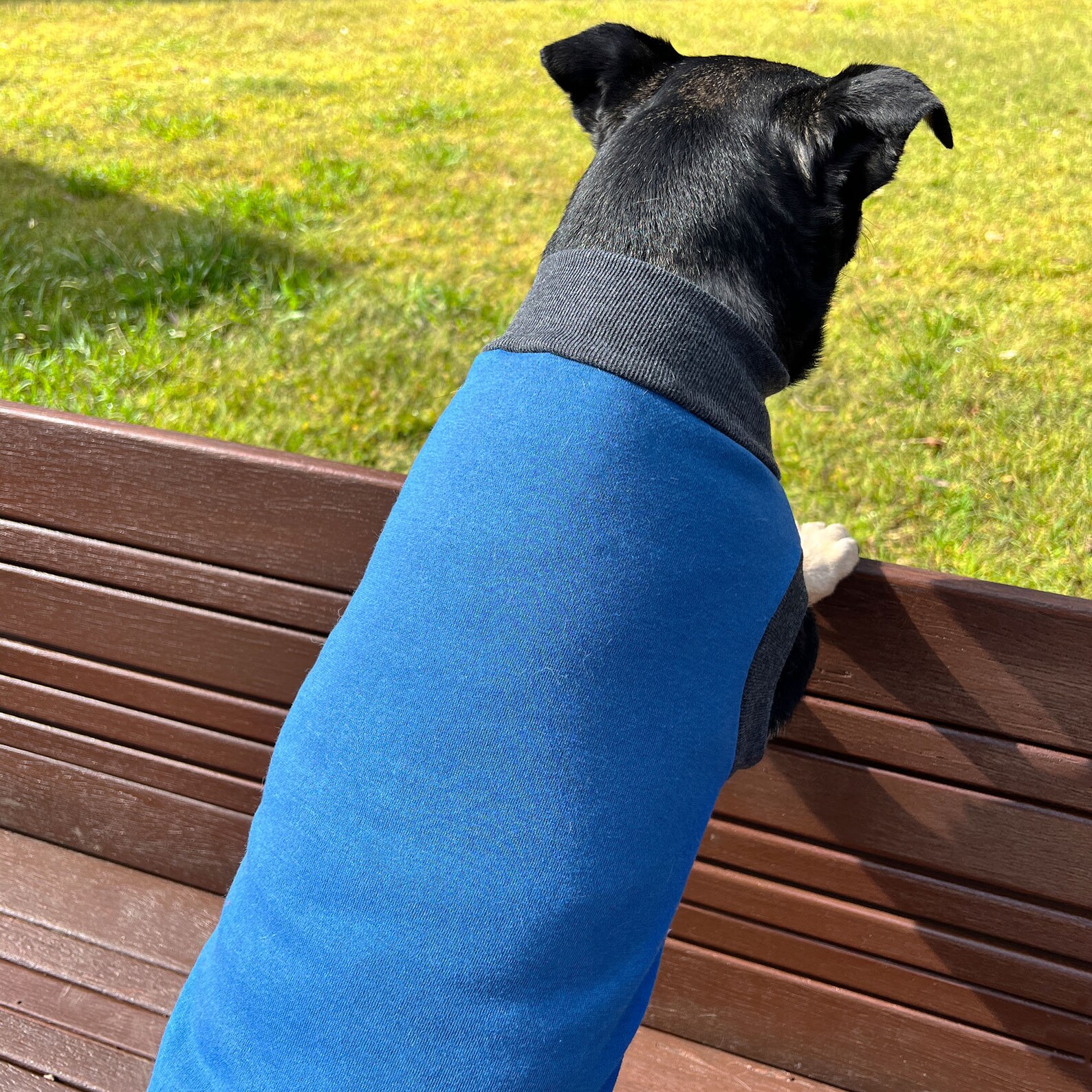 True Blue Dog Jacket / Dog Coat / Winter Dog Fleece Turtleneck - Etsy
