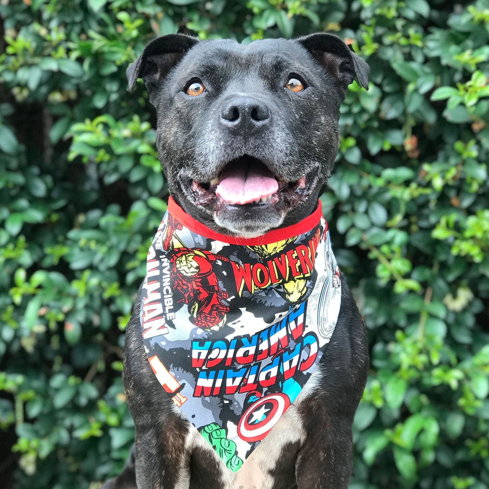 Avengers Dog Bandana / Superhero Dog Bandana / Dog Bandanas - Etsy